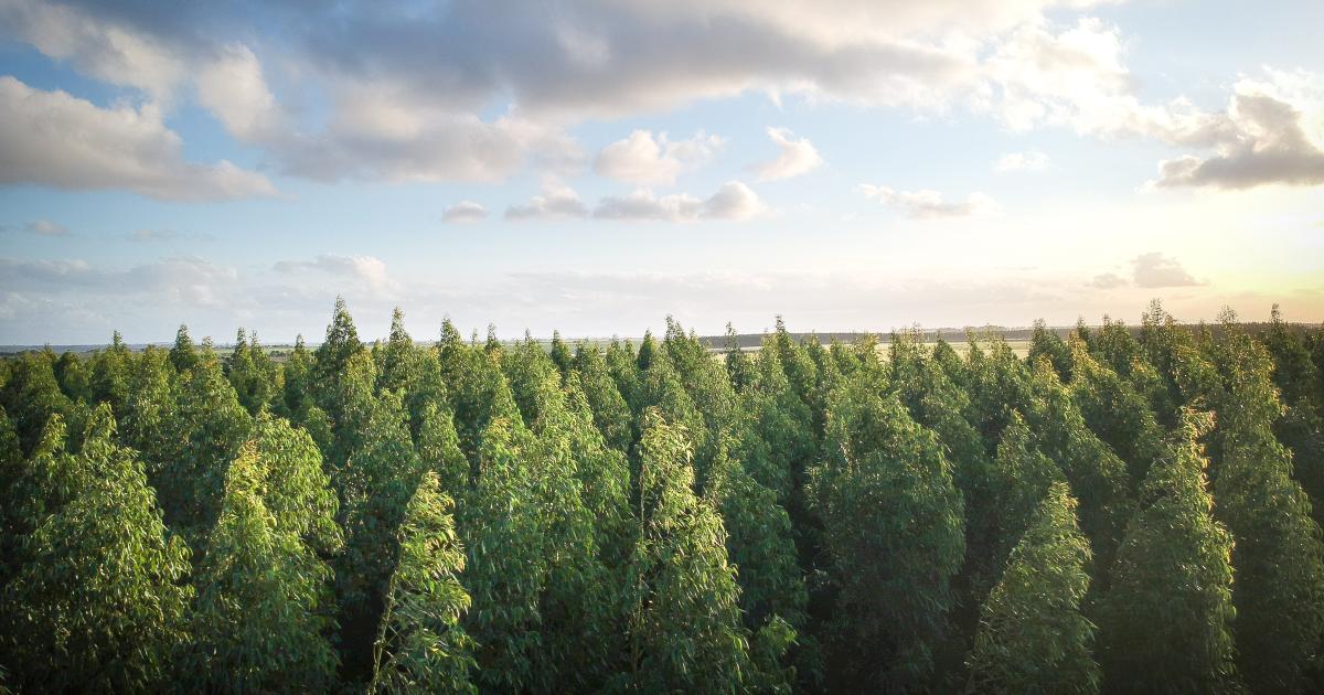 NRRA and Solid Waste in the North Country | NH Recycles